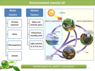 Basics of environment | PPTX