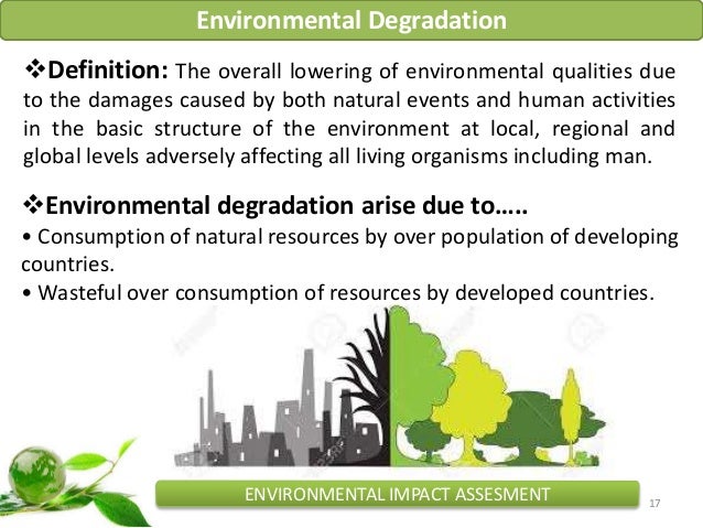 Basics of environment