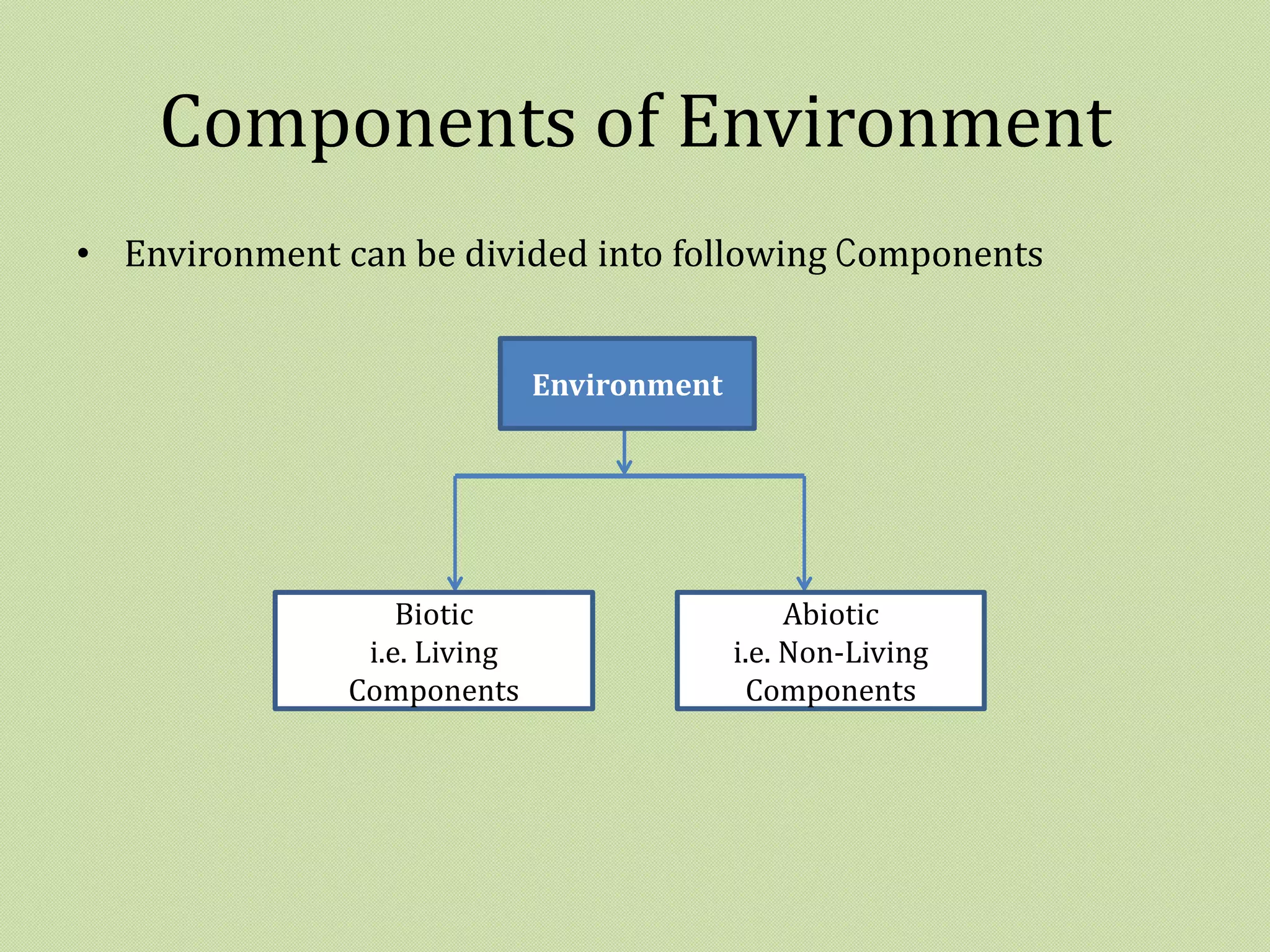 Basics of Environmental Studies | PDF