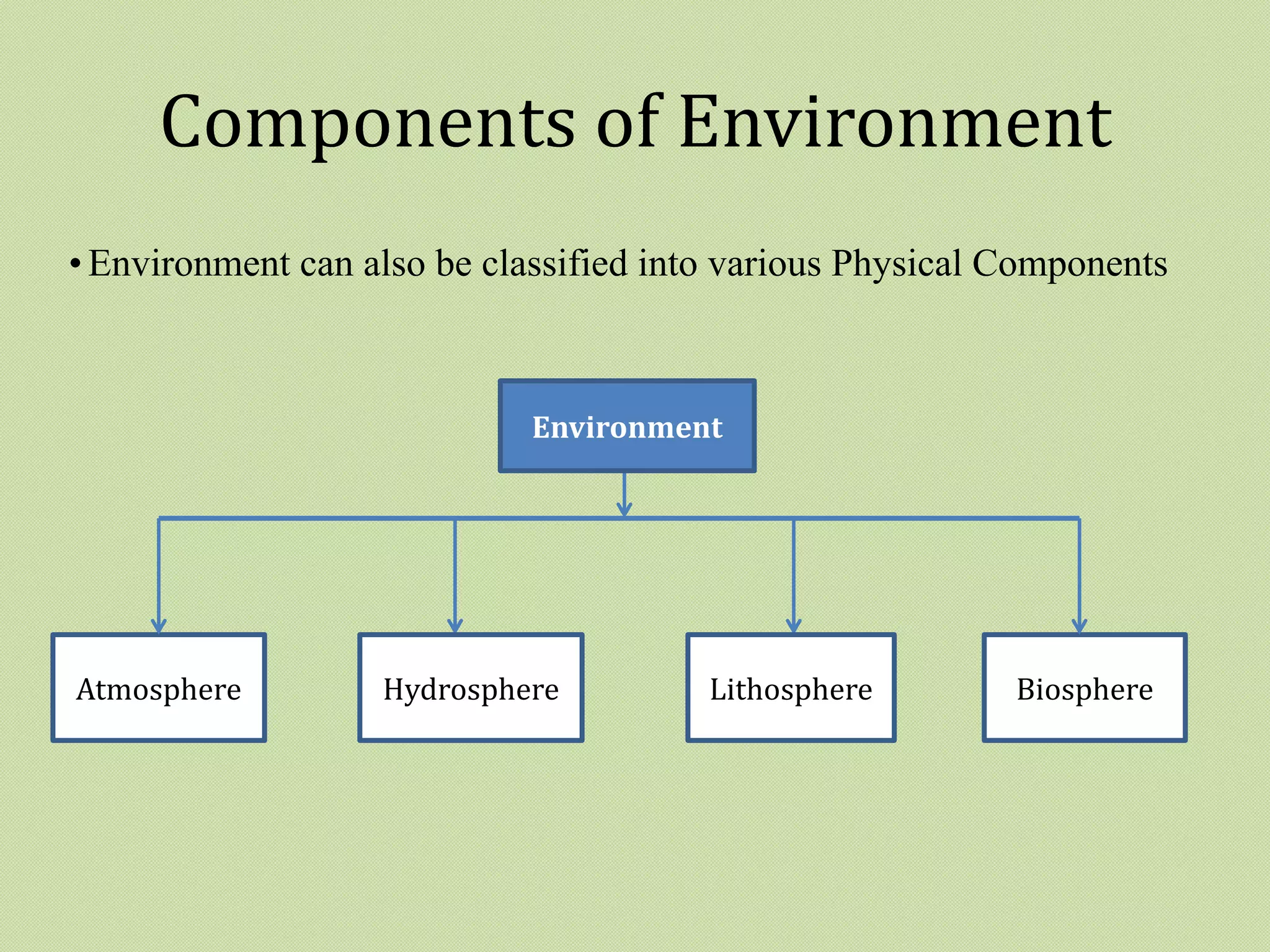 Basics of Environmental Studies | PDF