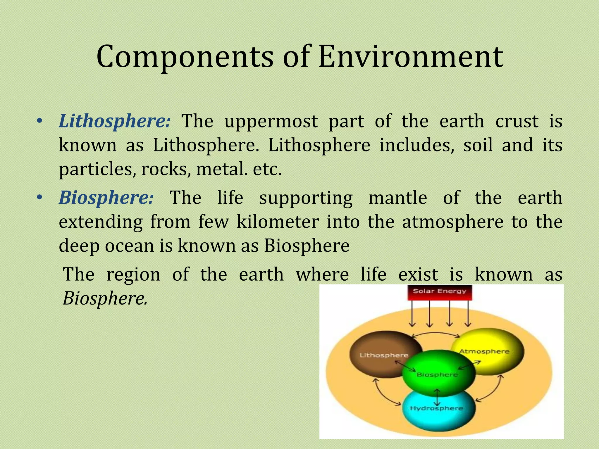 Basics of Environmental Studies | PDF
