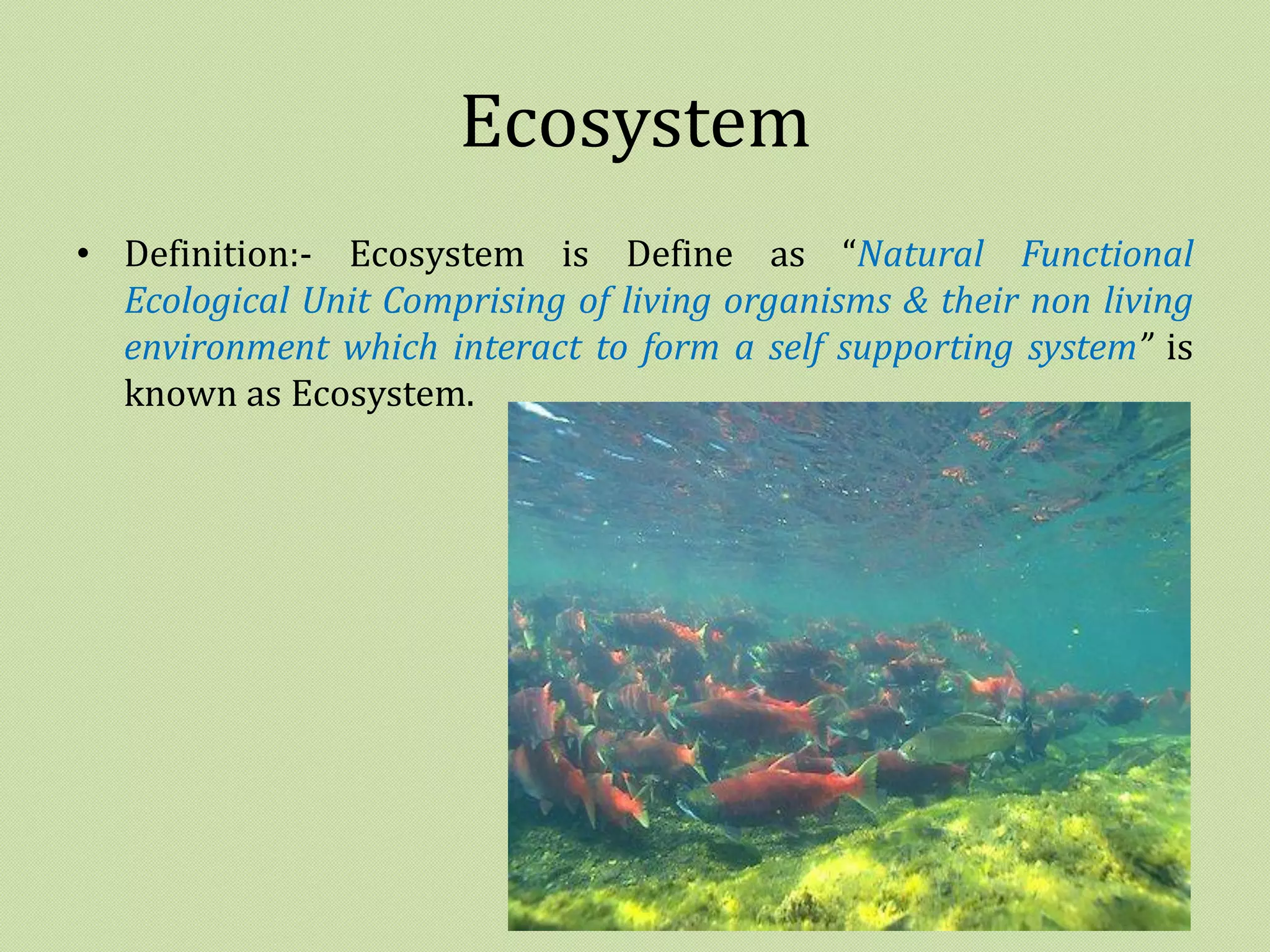 Basics of Environmental Studies | PDF