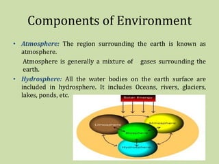 Basics of Environmental Studies | PDF