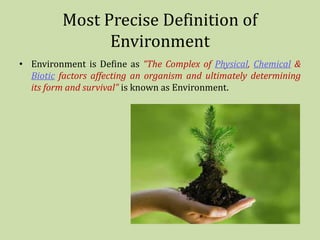 Basics of Environmental Studies | PDF