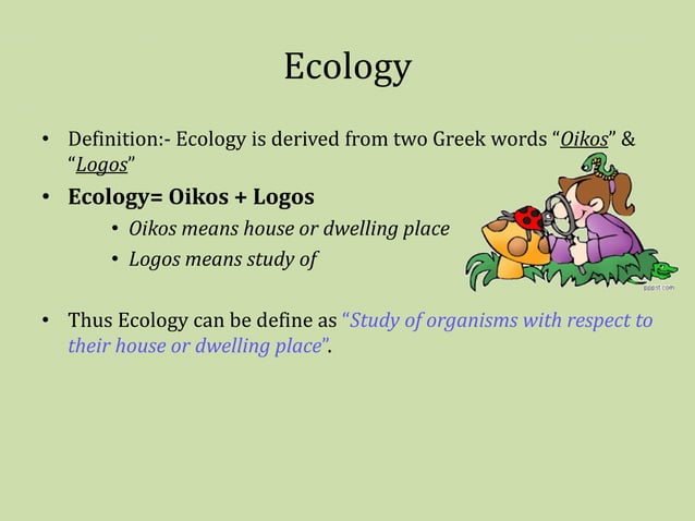 Basics of Environmental Studies | PDF