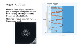 BASICS OF EUS PHYSICS.pptx