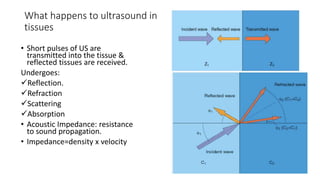 BASICS OF EUS PHYSICS.pptx