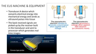 BASICS OF EUS PHYSICS.pptx