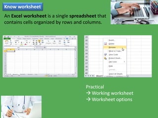 Basics of excel for medical profession | PPTX