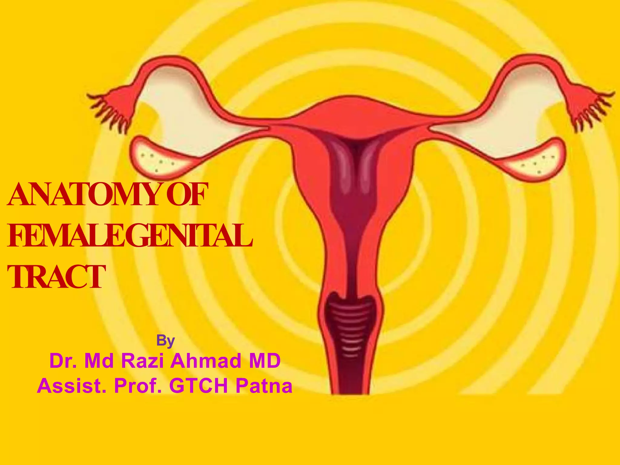Basics of female genital organ | PPTX