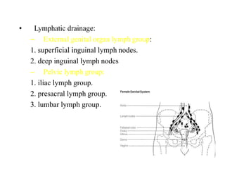 Basics of female genital organ | PPTX