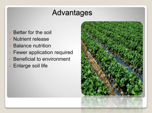Basics of fertilizer and its impact on the | PPTX