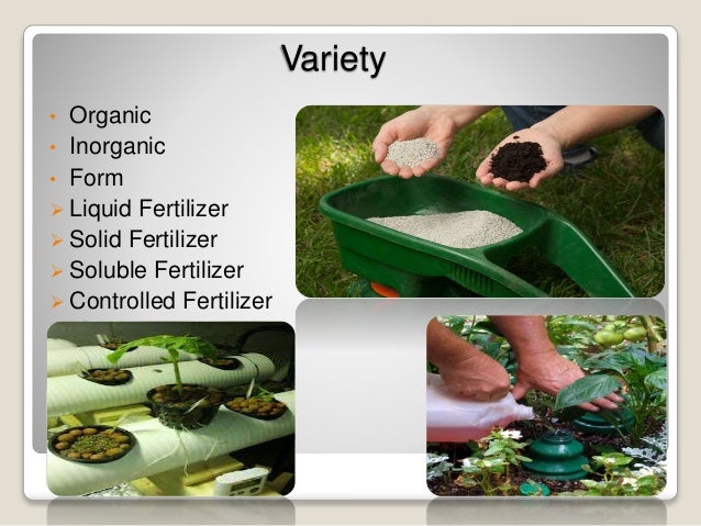 Basics of fertilizer and its impact on the
