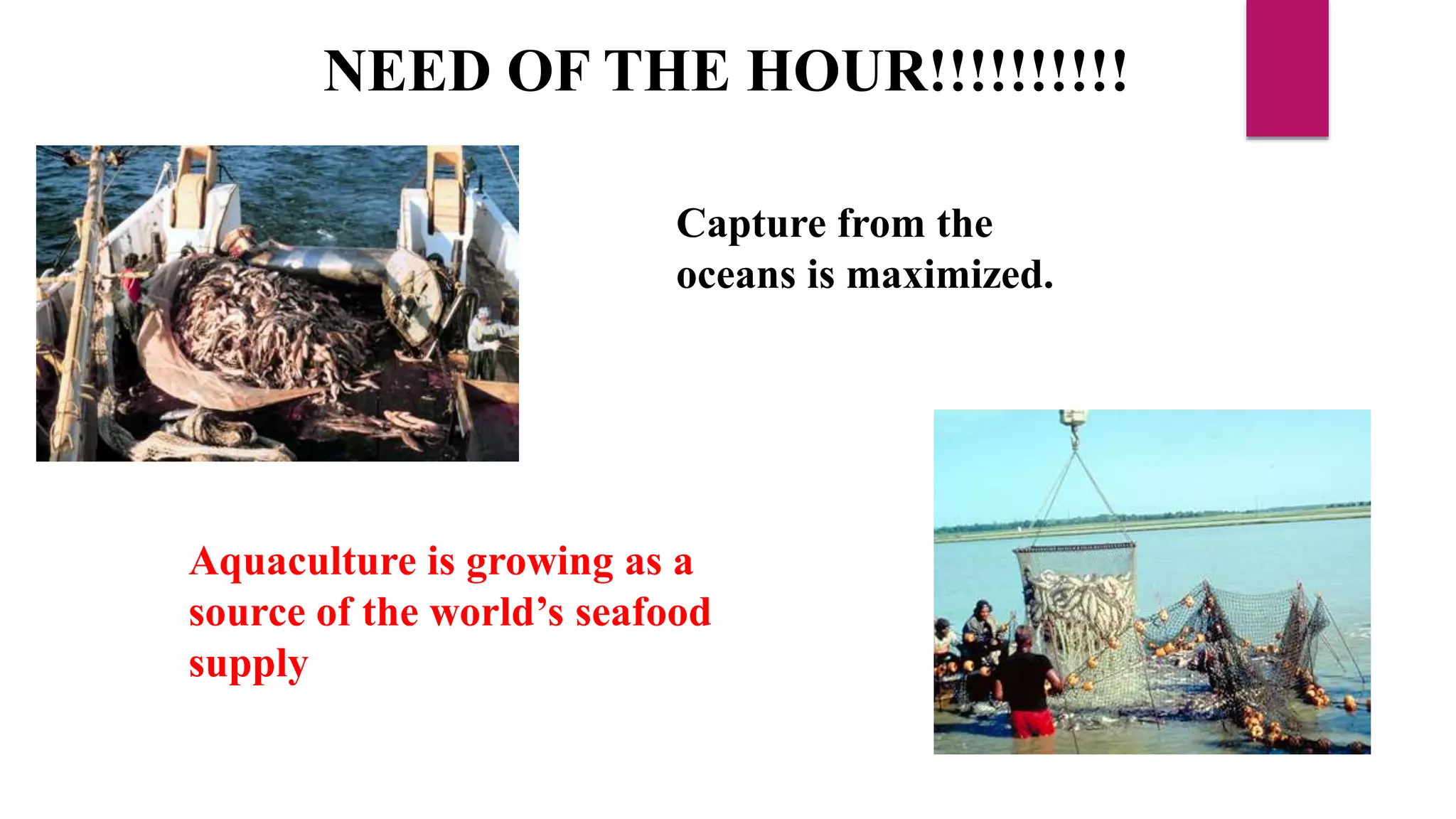 Basics of fisheries and aquaculture | PPTX