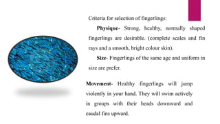 Basics of fisheries and aquaculture | PPTX