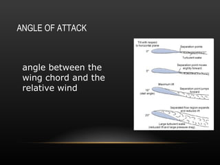 Basics of Flight and Aerodynamics (Groups B/D) | PPT
