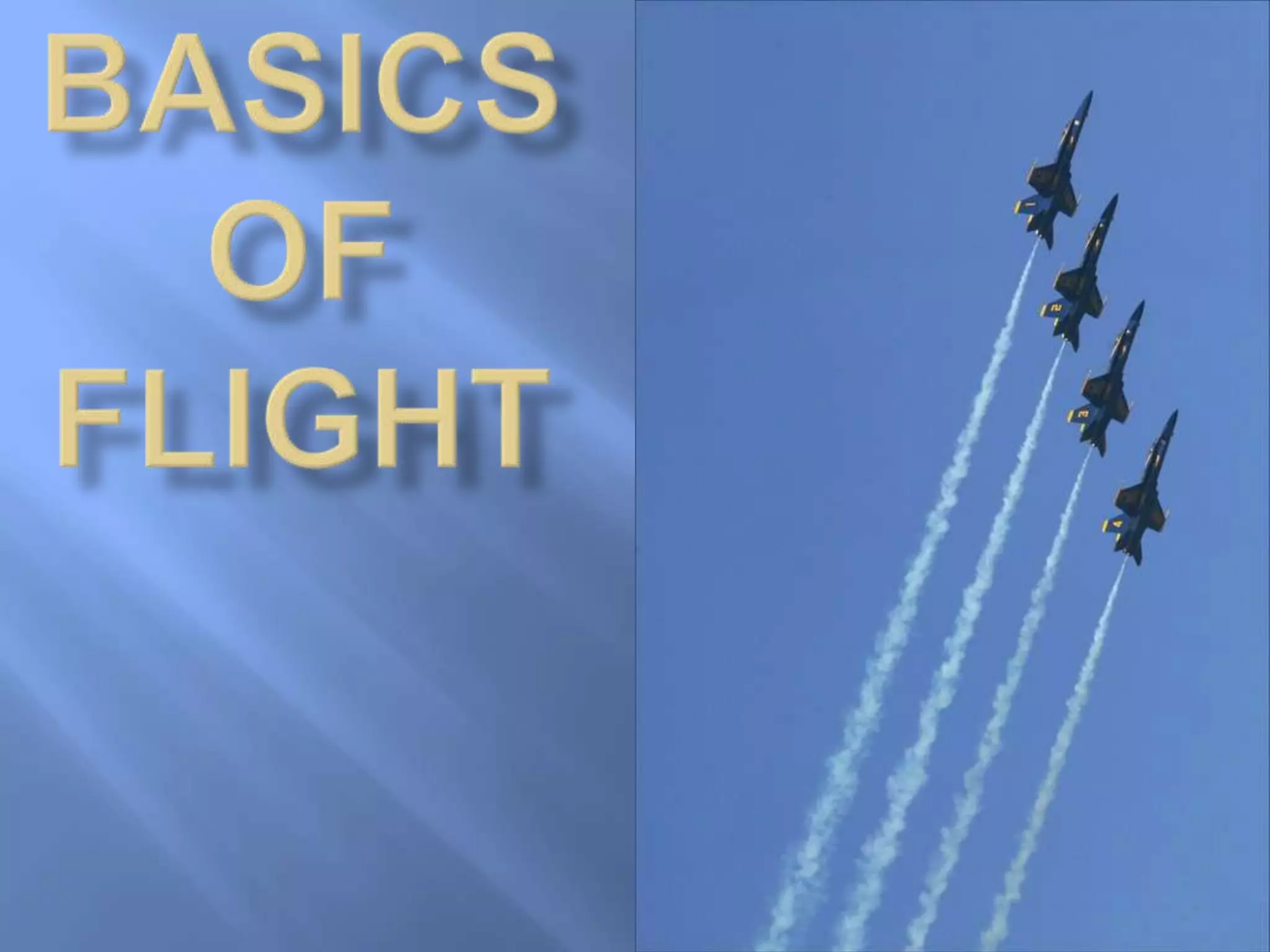 Basics of flight | PPTX