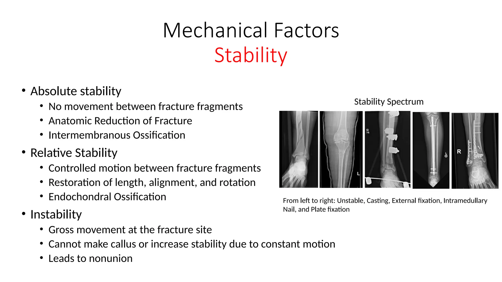 Basics of fracture healing of bones.pptx
