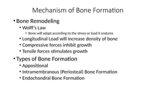 Basics of fracture healing of bones.pptx