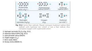 Basics of free radicals.pptx............ | PPT
