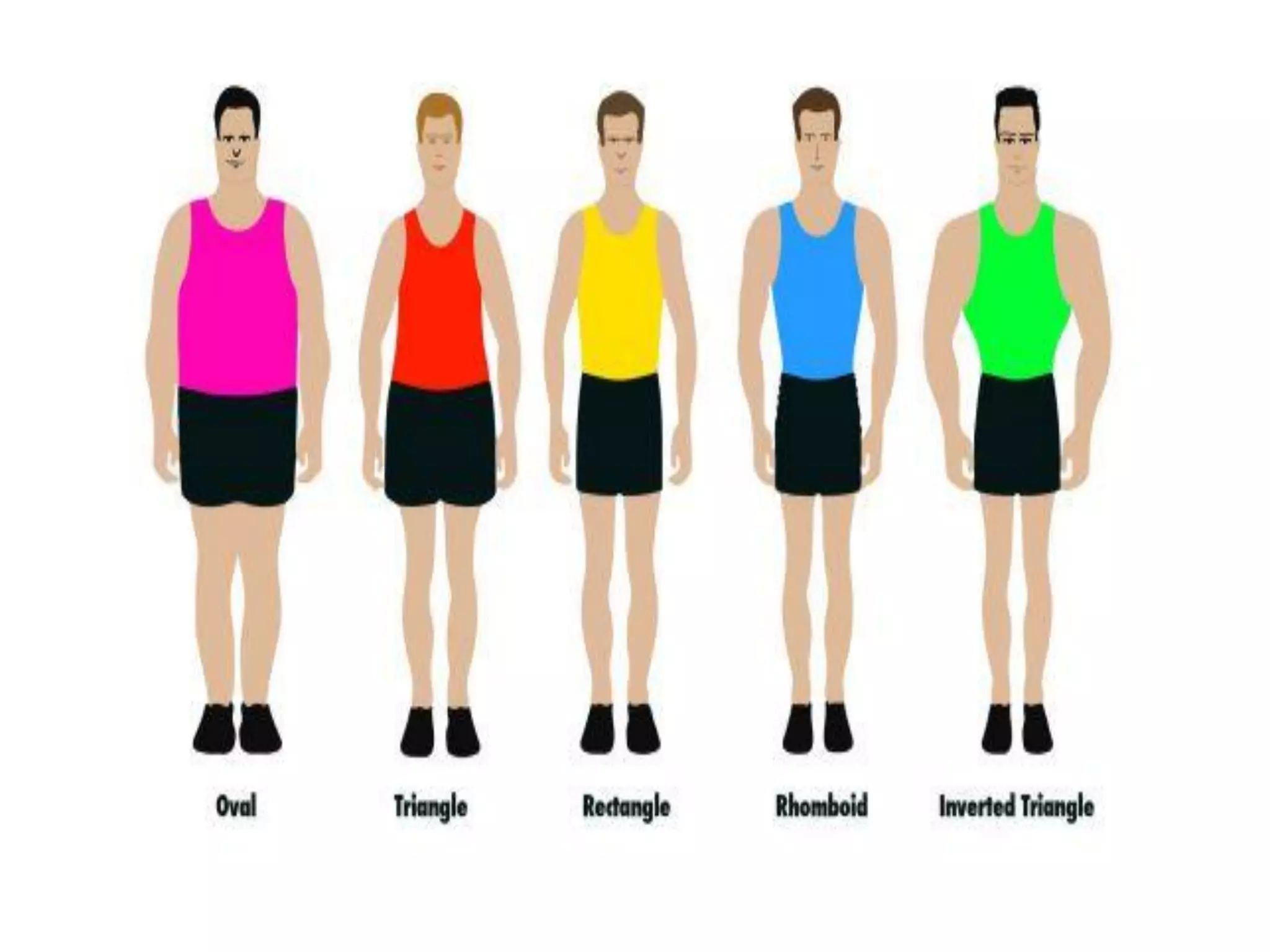 Figure analysis - Leg and arm types. | PDF