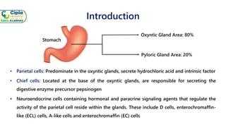 Basics of Gastric Acid Secretion | PPTX