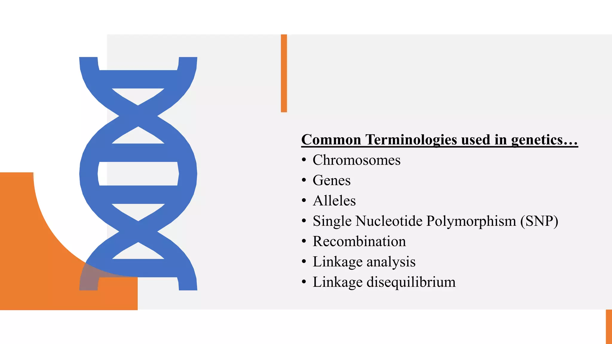 Basics of genetics | PDF | Genetics | Science