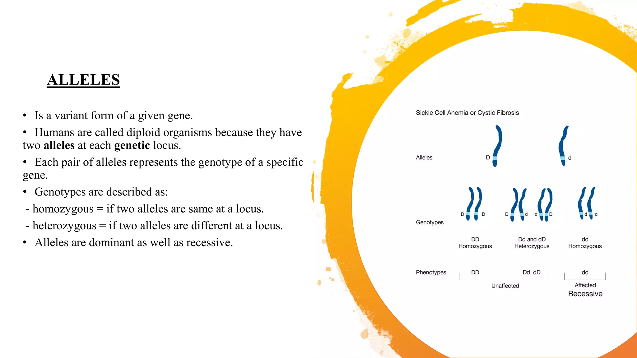 Basics of genetics | PDF | Genetics | Science