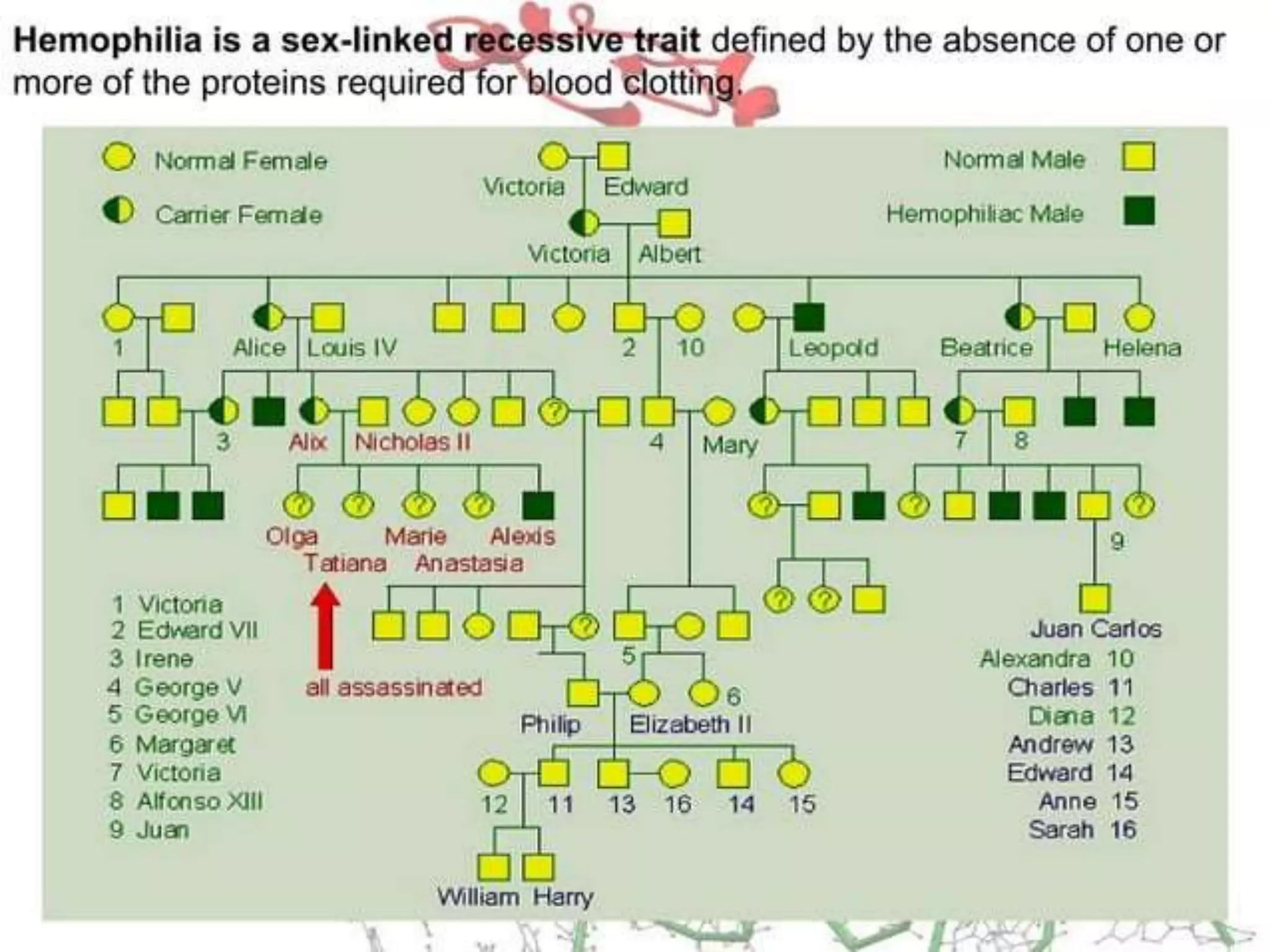 Basics of genetics.pptx