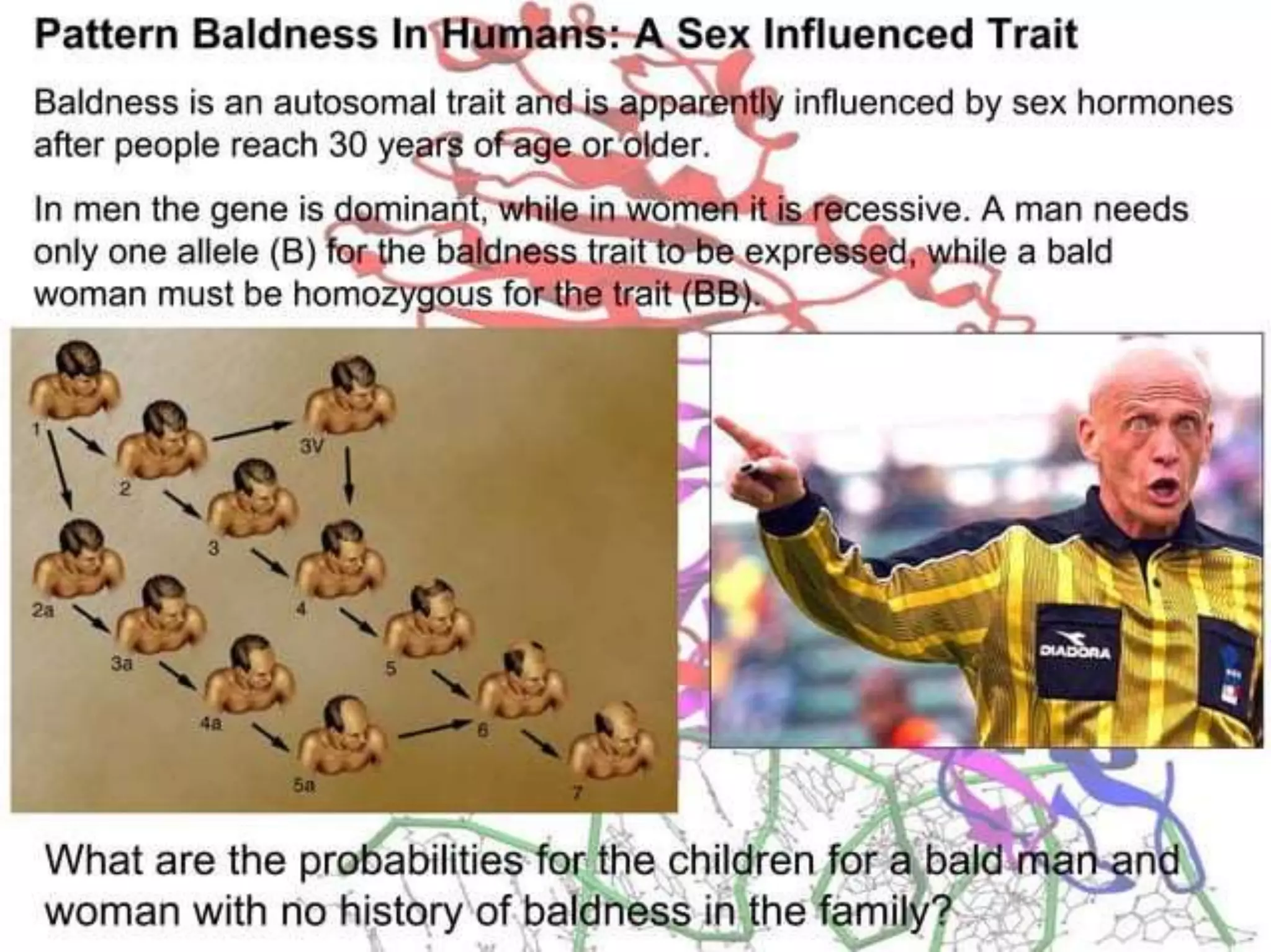 Basics of genetics.pptx