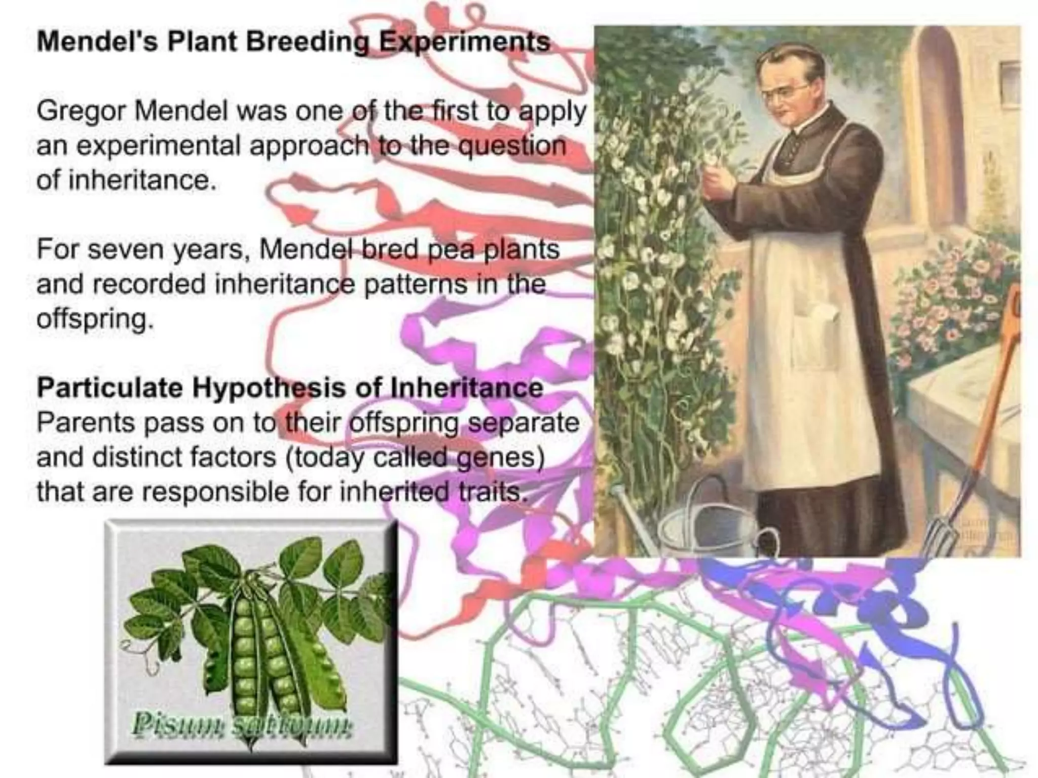 Basics of genetics.pptx