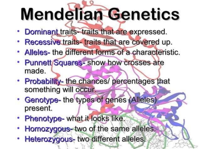 Basics of genetics.pptx