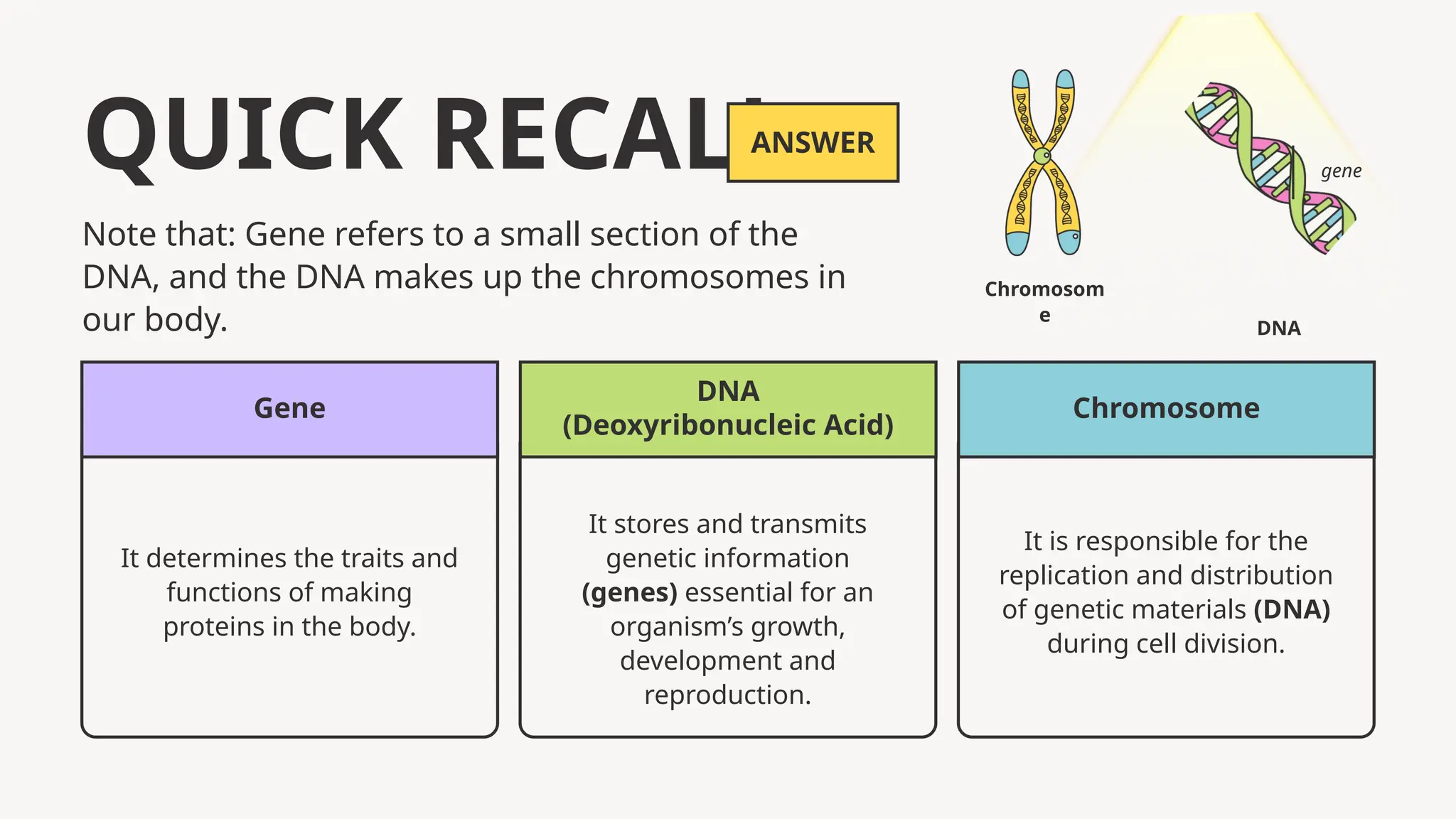 basics of genetics and genetioc variations.pptx