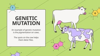 basics of genetics and genetioc variations.pptx