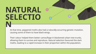 basics of genetics and genetioc variations.pptx