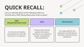 basics of genetics and genetioc variations.pptx