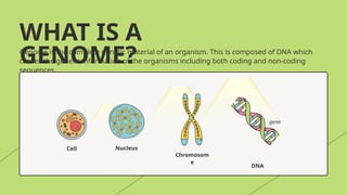 basics of genetics and genetioc variations.pptx