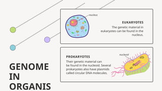 basics of genetics and genetioc variations.pptx