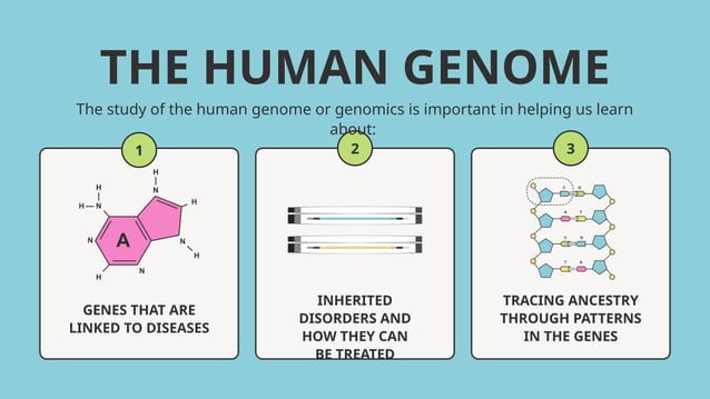basics of genetics and genetioc variations.pptx
