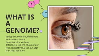 basics of genetics and genetioc variations.pptx
