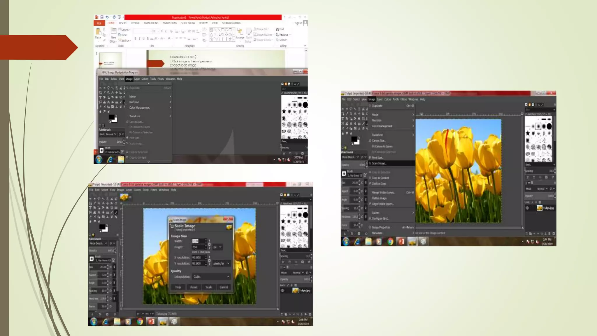 Basics of gimp | PPT