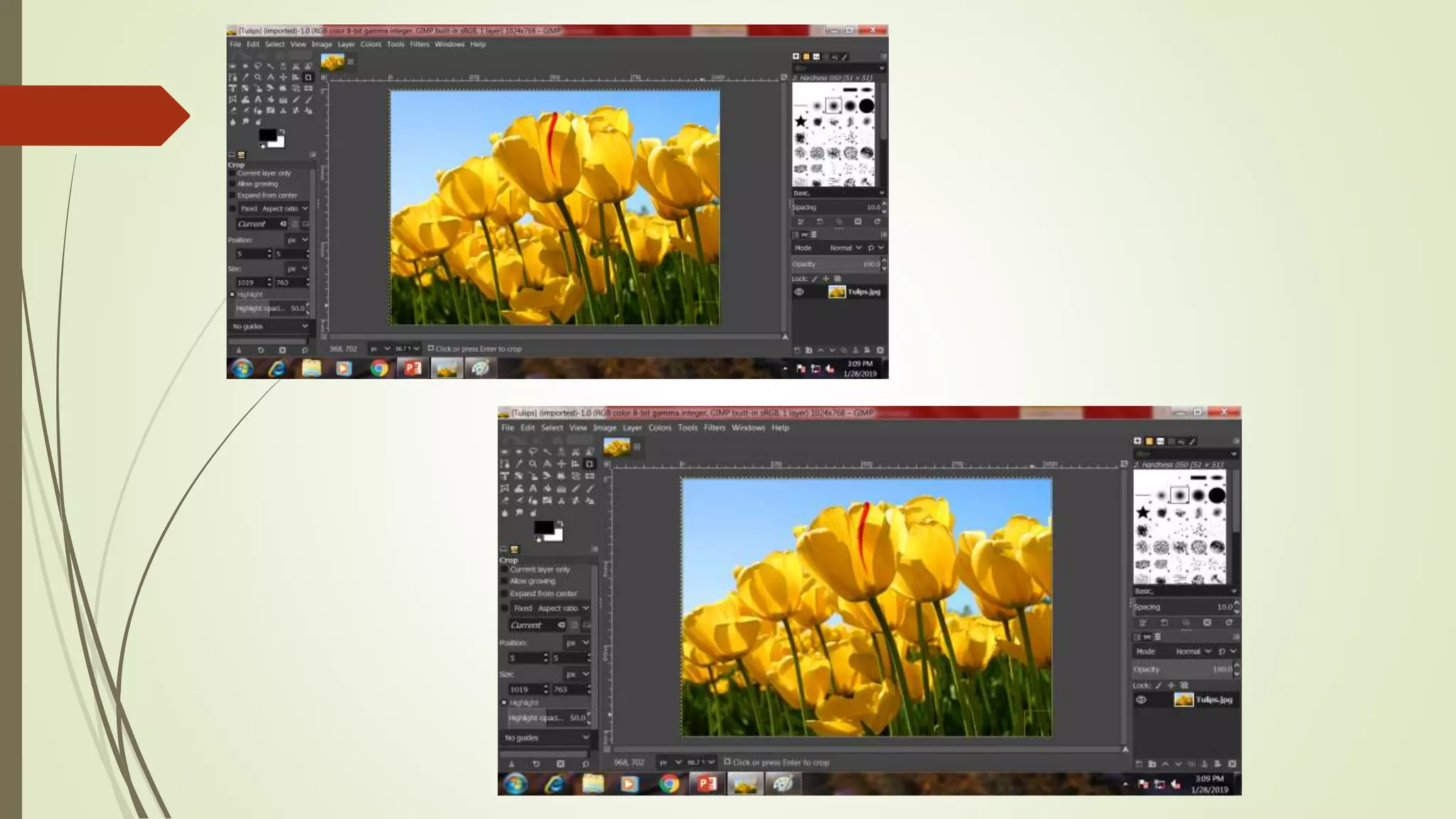 Basics of gimp | PPT