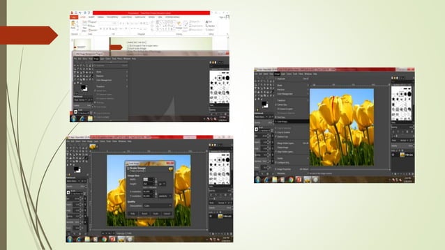 Basics of gimp | PPT