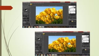 Basics of gimp | PPT