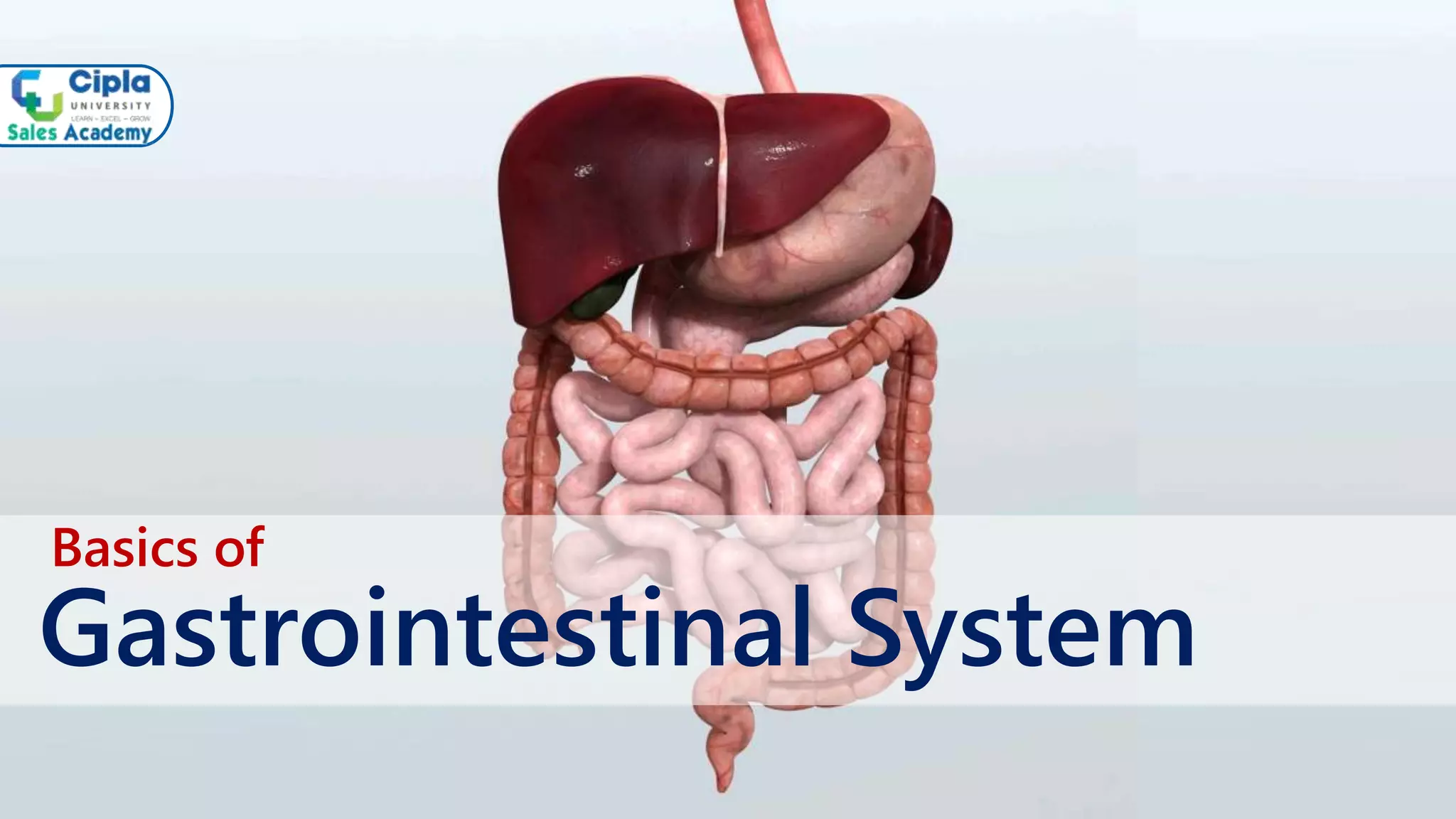 Basics of GI System | PPTX