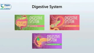 Basics of GI System | PPTX