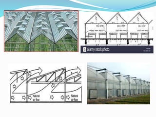 Basics of greenhouse design | PPTX
