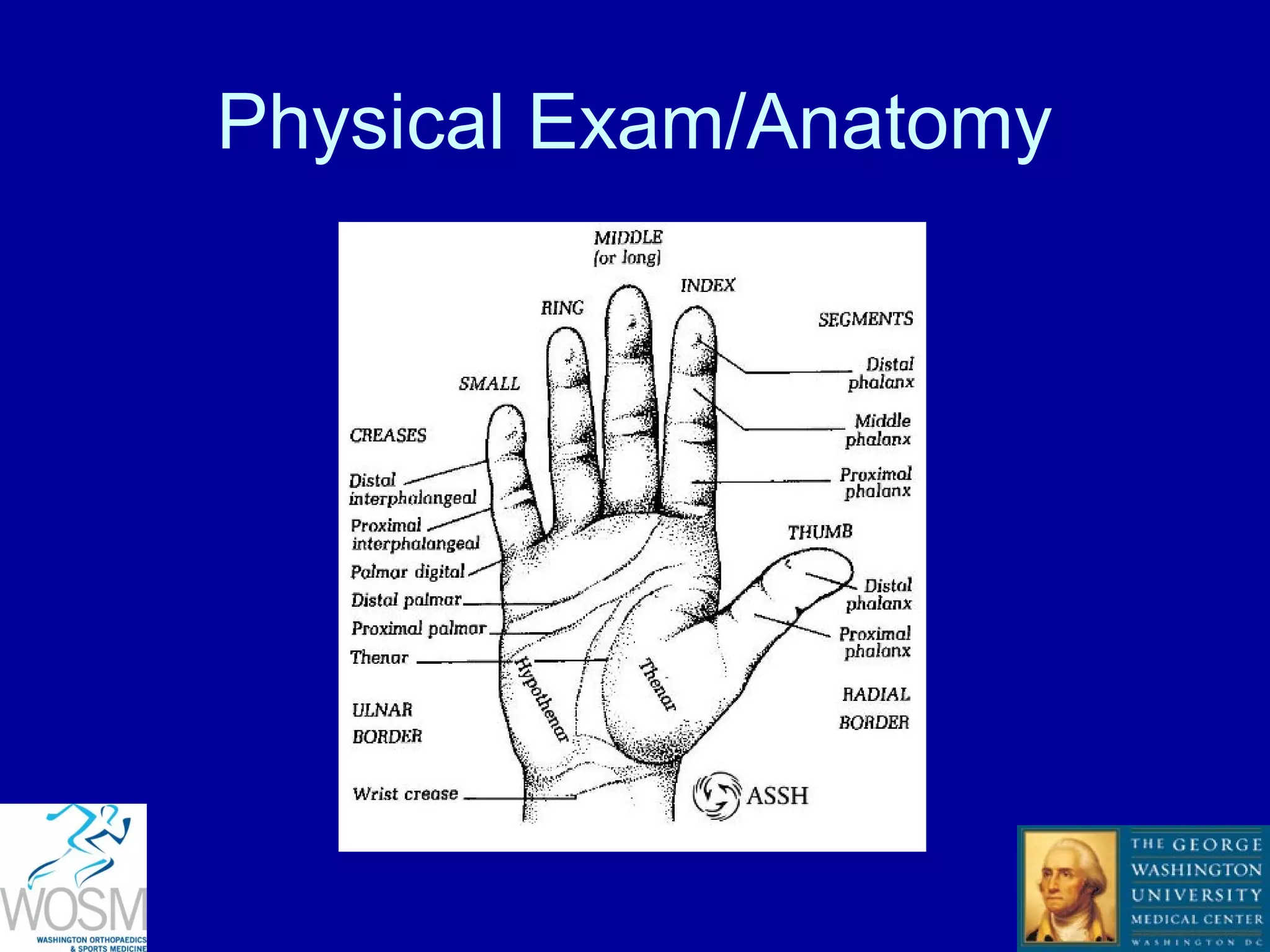 Basics of Hand Surgery | PPT
