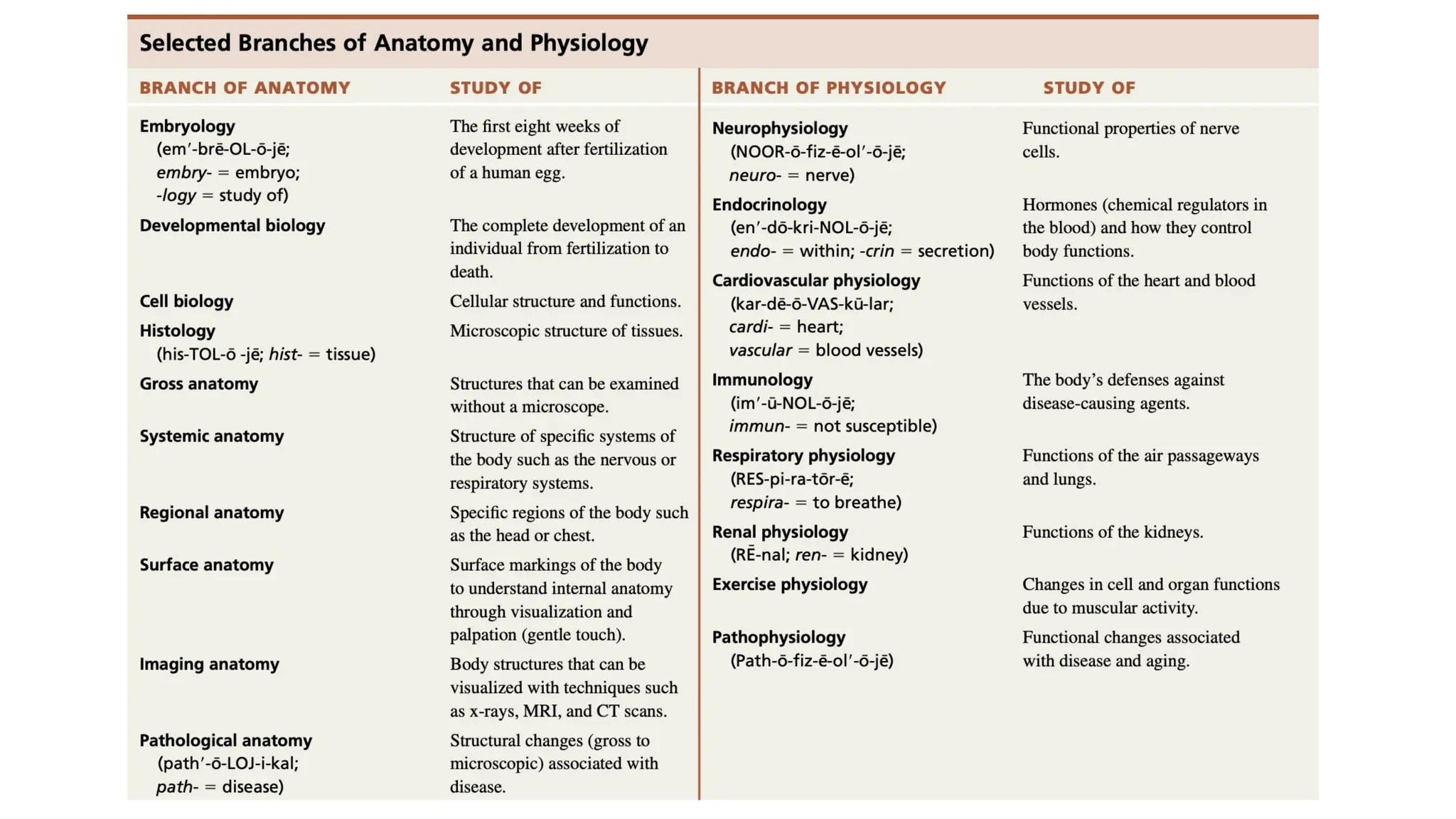 Introduction to the Basics of Human Anatomy and Physiology ...