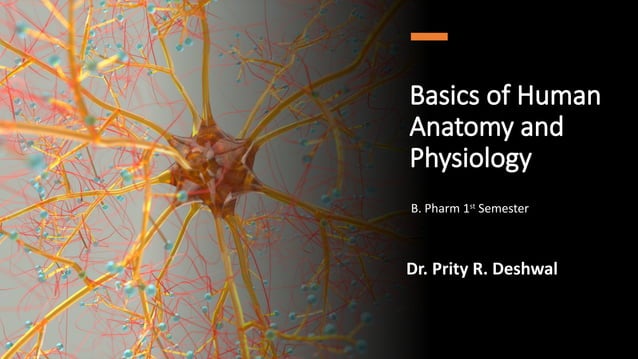 Introduction to the Basics of Human Anatomy and Physiology ...